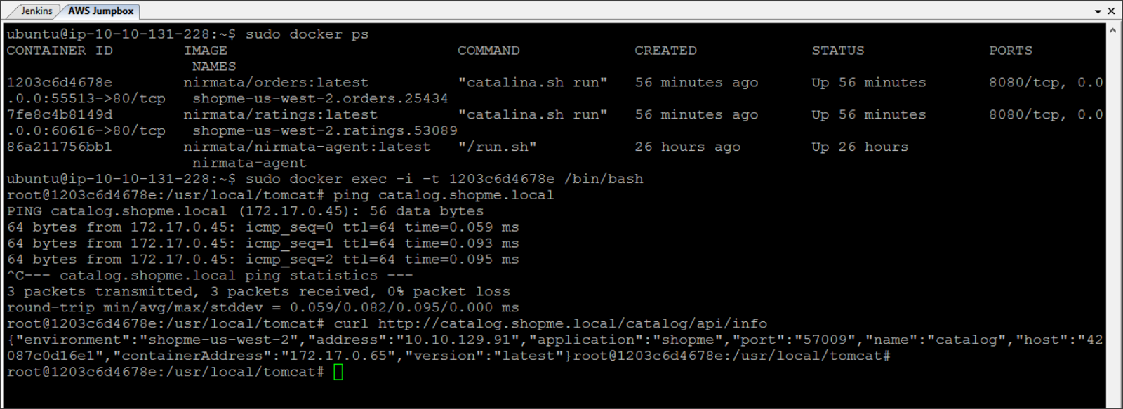Microservices Networking with Nirmata and Docker